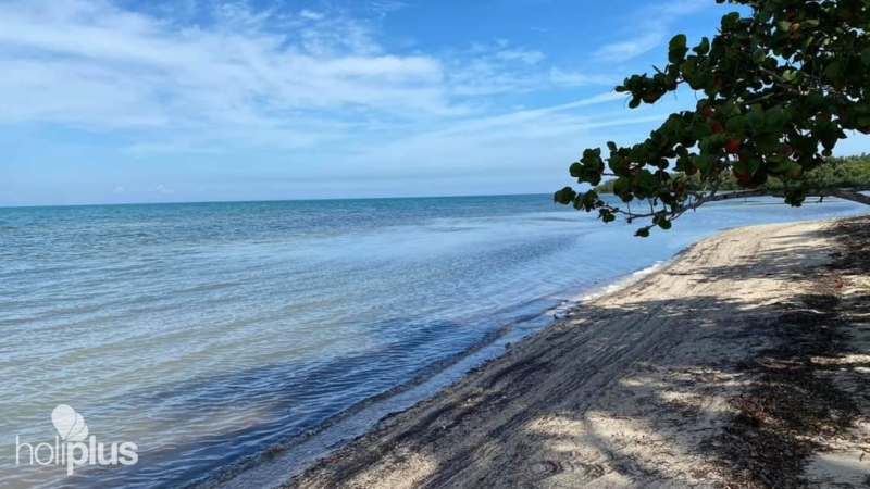 Book "SEAFARI CAYO MEDIA LUNA" Tour. Departure from CAYO GUILLERMO ...