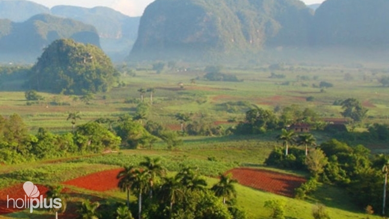 Prenotazione Tour “PINAR DEL RIO E VIÑALES IN AUTO D'EPOCA”. Partenza ...