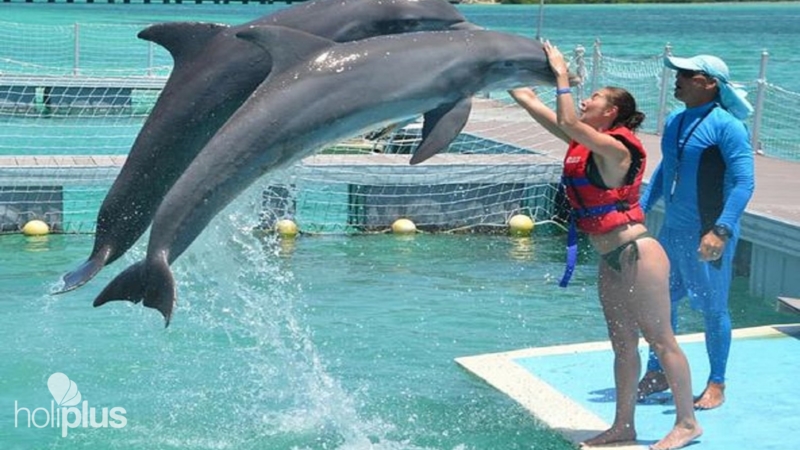 Book “JEEP SAFARI PILAR“ Tour. Departure from CAYO COCO. Gaviota Tours