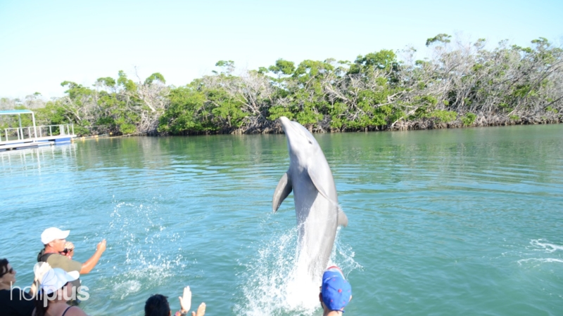 Book “SEAFARI CAYO BLANCO SUPERPLUS PREMIUM” Tour (includes swimming ...