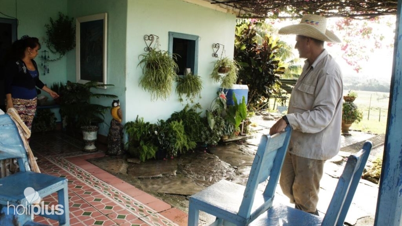 Book "VISIT TO THE MANACA ARRIBA FARM" Tour. Departure from CAYO COCO ...
