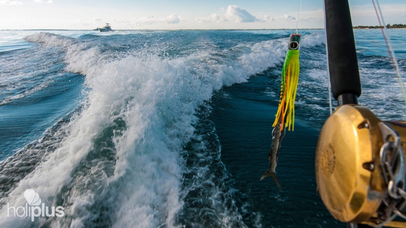 Book “DEEP SEA FISHING IN SANTIAGO DE CUBA“ Tour. Departure from ...