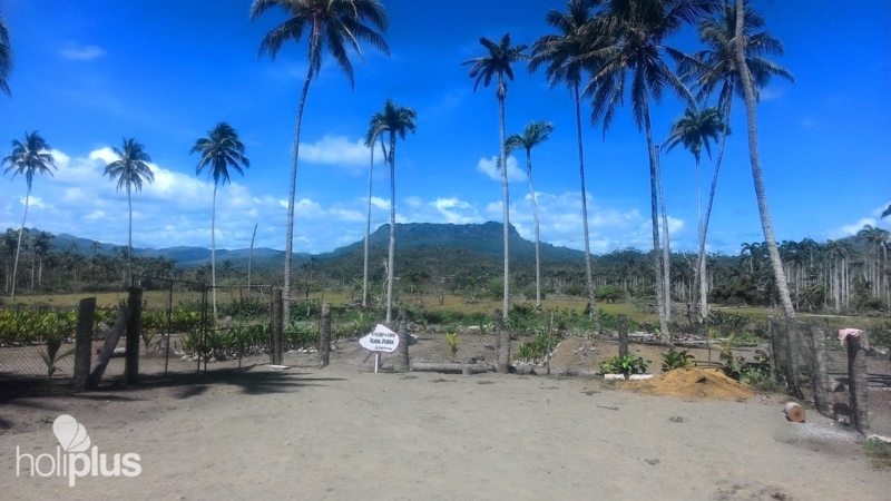 Book “DUABA FARM - TOA RIVER” Tour. Departure from BARACOA. Ecotur