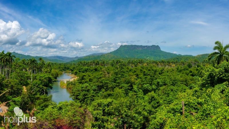 Book “DUABA FARM - TOA RIVER” Tour. Departure from BARACOA. Ecotur
