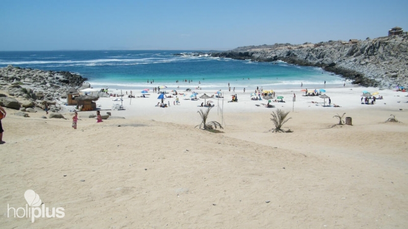 Reservar EXCURSIÓN “COSTA CENTRAL DE CHILE”.. Salida desde SANTIAGO.