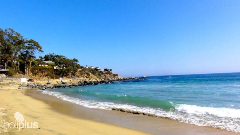 Reservar EXCURSIÓN “COSTA CENTRAL DE CHILE”.. Salida desde SANTIAGO.