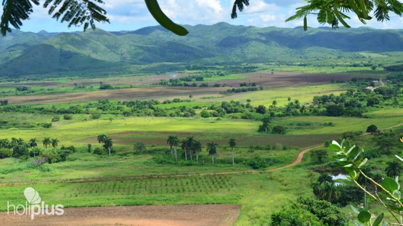 Book “Trinidad Special” City Tour (Trinidad + Valley of the Sugar Mills ...