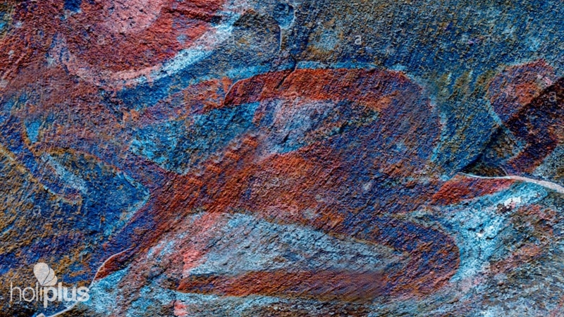 Book “ORONGO, TANGATA MANU CEREMONIAL” TOUR.. Departure from ISLA DE ...