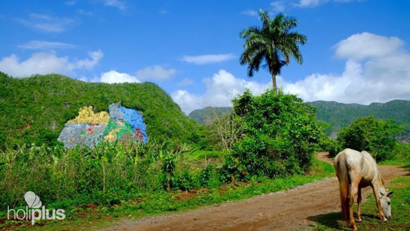 Book “Pinar del Río Overnight” Tour. Departure from VARADERO. Cubatur