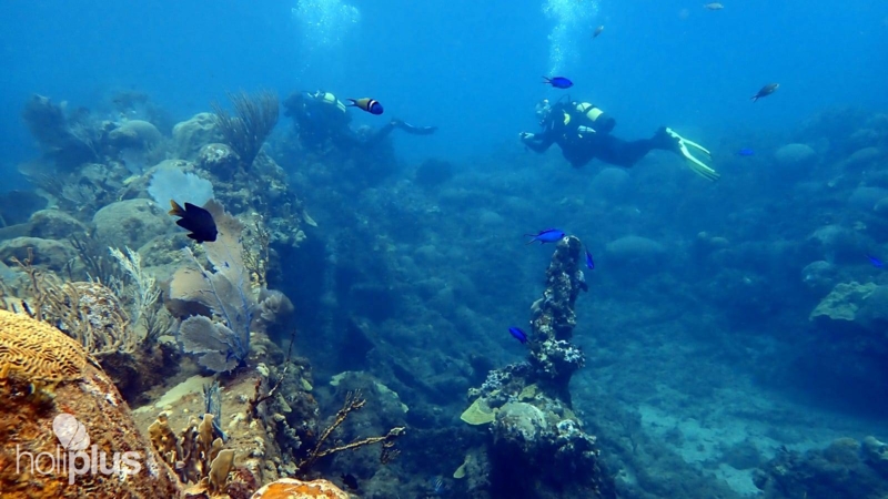 Book “SCUBA DIVING IN SANTIAGO DE CUBA” Tour. Departure from SANTIAGO ...
