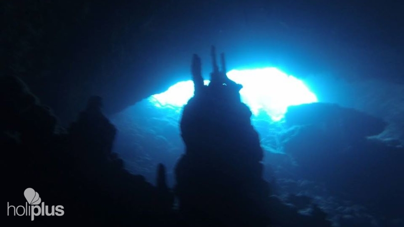 Book Jeep Safari "SCUBA DIVING IN TANQUES AZULES (BLUE TANKS CAVE ...