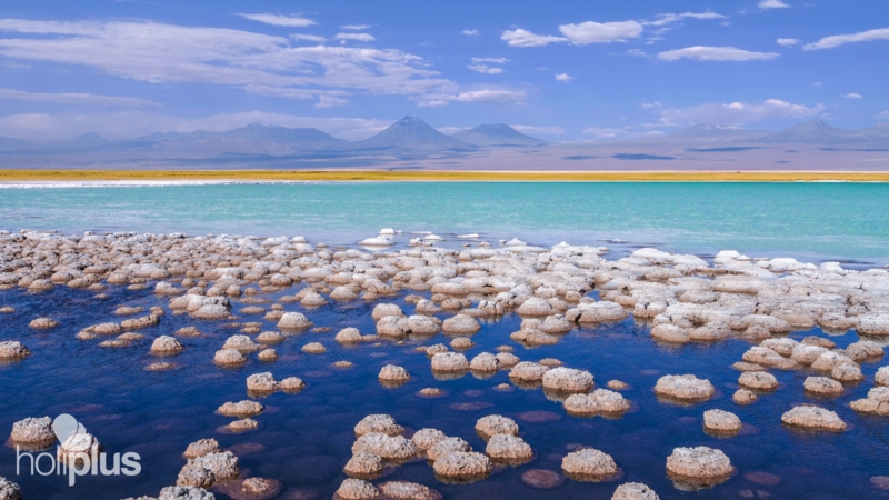 Book “ATACAMA SALT FLAT & ALTIPLANIC LAGOONS” TOUR. Departure from SAN ...