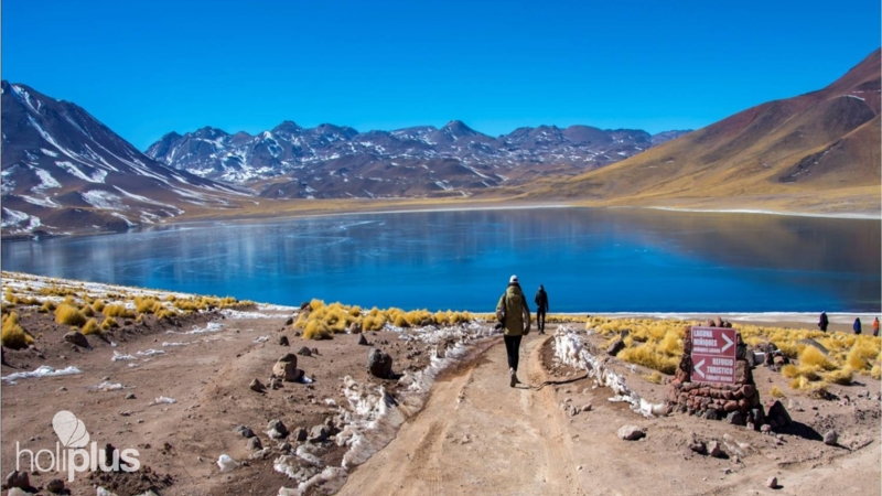 Book “ATACAMA SALT FLAT & ALTIPLANIC LAGOONS” TOUR. Departure from SAN ...