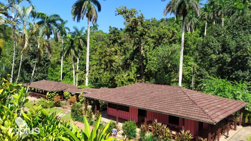 Reservar Excursión "PARQUE NATURAL GUANAYARA, TOPES DE COLLANTES ...