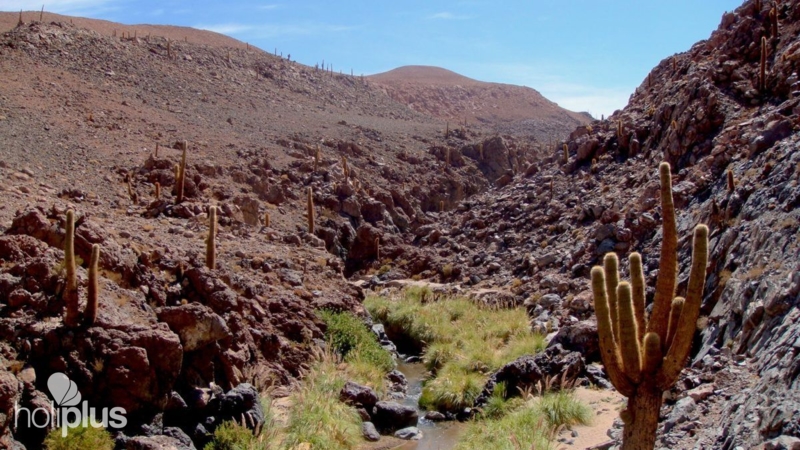 Reservar EXCURSIÓN “VALLE DE LOS CACTUS & MACHUCA EN MOTOCICLETA ...