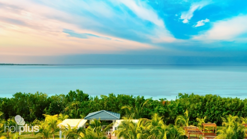 Book online Cayo Santa María The One Gallery Hotel. CAYO LAS BRUJAS ...