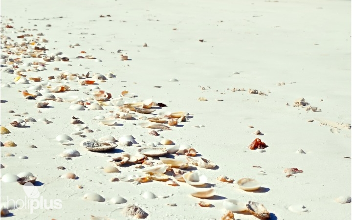 Book online Cayo Santa María The One Gallery Hotel. CAYO LAS BRUJAS ...