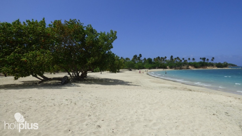 Book online Cayo Bariay Hostal, BARIAY. HOLGUÍN, Cuba. Images, full ...